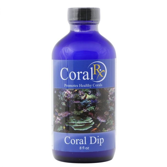 Coral Rx | Eastwood Aquarium