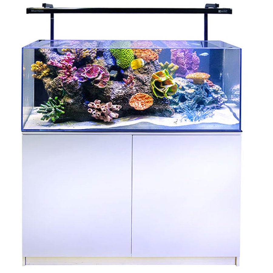 Mini Reef 215 | Eastwood Aquarium